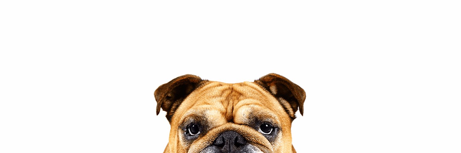 Bulldog Student Discount • Students get 15% off when spending £15 at ...