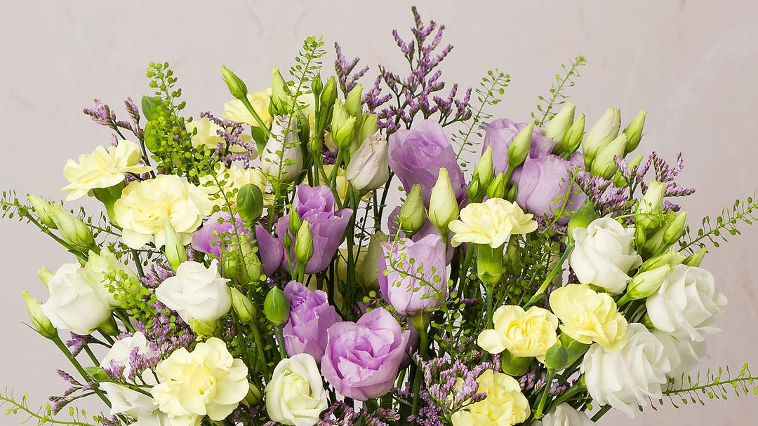 Bunches discounts | gocertify